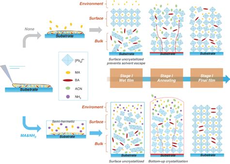 Bottom Up Construction Of Low Dimensional Perovskite Thick Films For