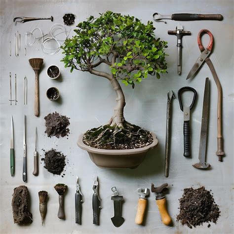 Bonsai Tree With A Collection Of Tools For Pruning And Shaping Premium Ai Generated Image