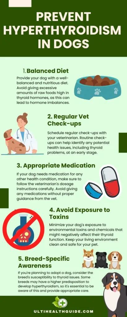 Hyperthyroidism In Dogs Causes Symptoms And Treatments For