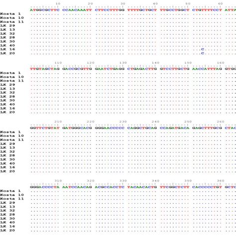 Alignment Of The Exon 1 Of Gdf9 Gene Sequences Download Scientific Diagram