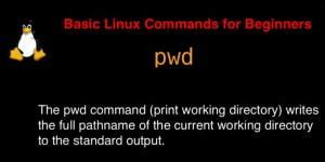 Pwd Command In Linux With Examples DevopsRoles Com Free