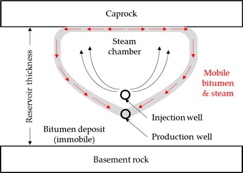 Schematics Of Steam Assisted Gravity Drainage Sagd And Expanding Download Scientific Diagram