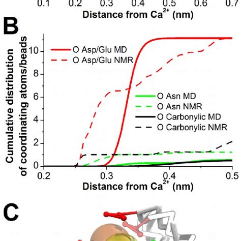 Calcium Coordination A Radial Distribution Of Amino Acids Download Scientific Diagram