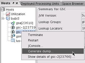 Dump