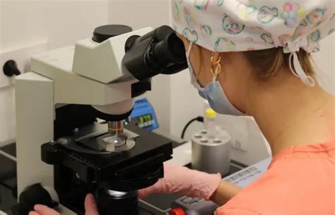 Iui Vs Ivf Differences Between Ivf And Artificial Insemination Vida