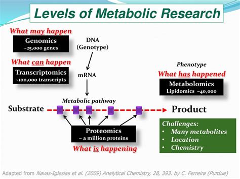 Day 2 Session 8 Questions And Follow Up… James C Fleet Phd Ppt