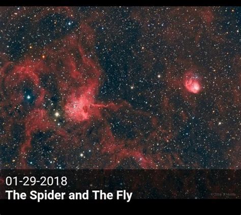 Observable Universe Vs Entire Universe Space Amino