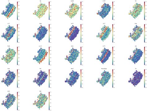 tutorial for cell cell communication prediction for single st data with