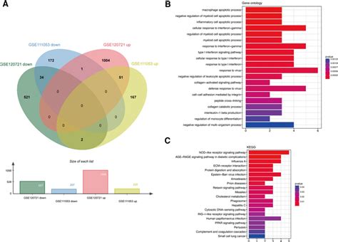 Functional Annotation And Enrichment Analyses Reveal Pathways Involved Download Scientific