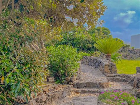 제주 동쪽여행 종달리 숙소추천 달집 게스트하우스🏡 트립닷컴 제주