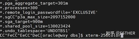 数据库实验 oracle命令行启动一个新的数据库 知乎