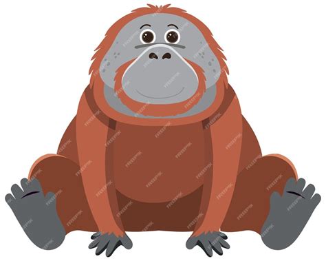 고립 된 평면 스타일에 귀여운 오랑우탄 무료 벡터