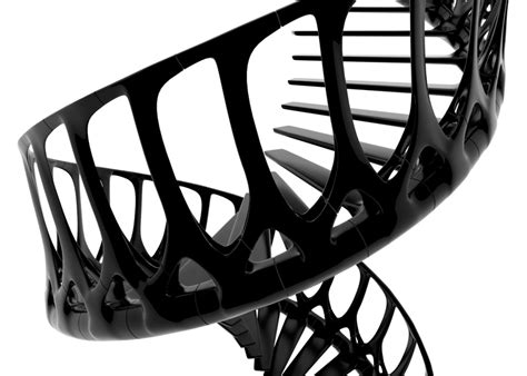 Vertebrae Staircase By Andrew Mcconnell