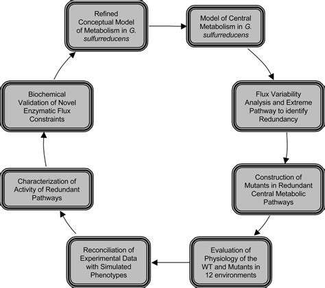 schematic describing the experimental and computational approach for
