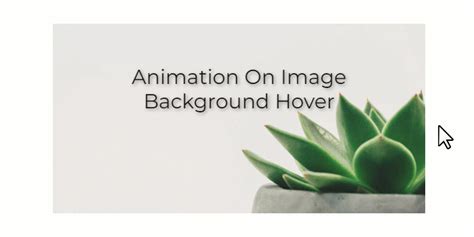 animation on image background hover nicepage help center