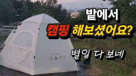 밭에서 캠핑하다 놀래 자빠질뻔한 건달 농사꾼 고구마수확 노지캠핑 쭈꾸미 중년부부취미 모임캠핑 삼겹살 셀