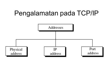 Contoh Tcp Ip 51 Koleksi Gambar