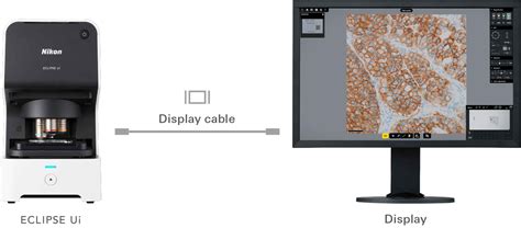 Eclipse Ui Digital Microscopes Microscope Products Nikon