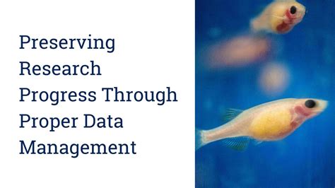 Preserving Research Progress Through Proper Data Management Arcsim