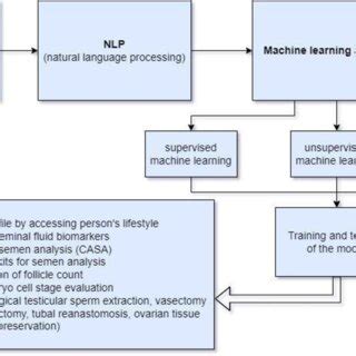 Usage Of AI In Reproductive Medicine Download Scientific Diagram