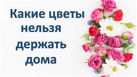 Какие цветы нельзя держать в доме Приметы и суеверия 2 Youtube