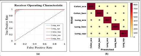 Figure 1 From Classification Of Lung And Colon Cancer Histopathological Images Using Global
