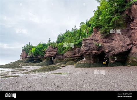 The Bay Of Fundy New Brunswickthis Bay Is Famous For Having The