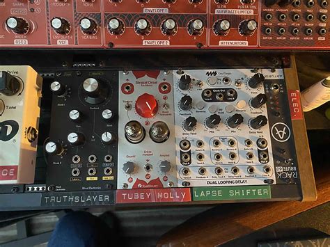 Ritual Electronics Miasma Crime Feedback Loop Distortion Reverb