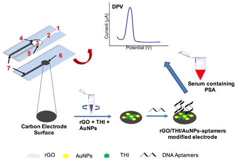 Paper Based Aptasensors Working Principles Detection Modes And Applications