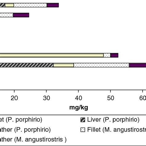 comparison of trace element accumulation in different tissues of