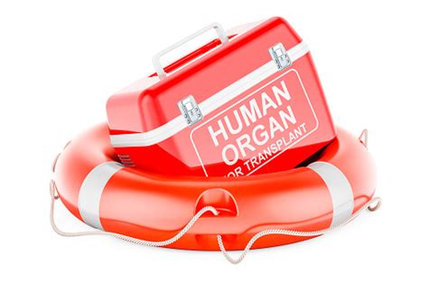 구명 벨트가 있는 기증자 장기 운반을 위한 휴대용 냉장고 3d 렌더링 3차원 형태에 대한 스톡 사진 및 기타 이미지 3차원 형태 개념 개념과 주제 Istock