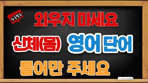 신체몸 관련 영어 단어 모음 한글발음 지원 Youtube