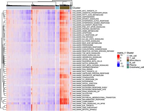 Identification Of A Macrophage Marker Gene Signature To Evaluate Immune Infiltration And