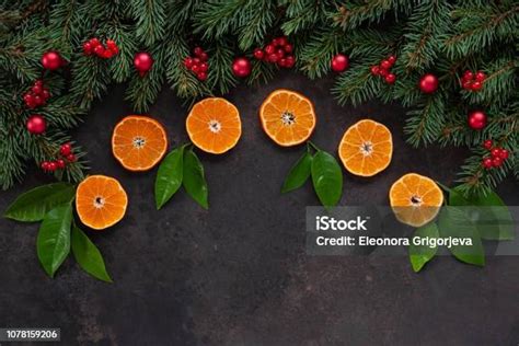 크리스마스 휴일 배경 전나무 나무와 붉은 열매와 볼 분기 그리고 신선한 오렌지 녹색 감귤 잎 조각 보기 상위 어두운 구체적인 배경까지 12월에 대한 스톡 사진 및 기타