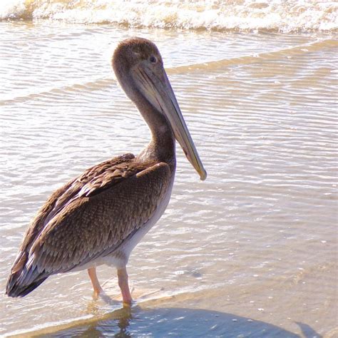 Shutterbugs Shutterbugs