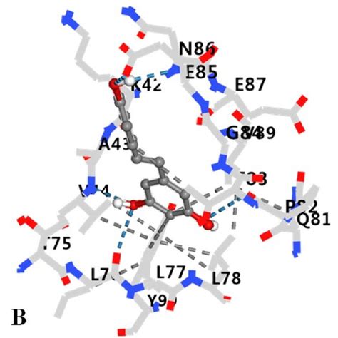 3d Diagram Of Flavonoids With Higher Vina Score Binding To Txnip A Download Scientific Diagram