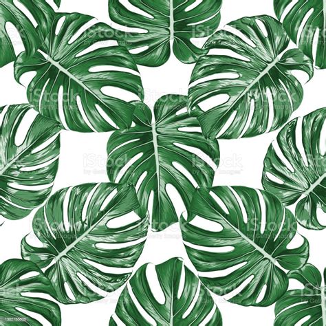 매끄러운 패턴 몬스터 고립 된 흰색 배경에 녹색 잎 벡터 일러스트 드라이 수채화 손 그리기 Stlye 패브릭 디자인 Texitle 0명에 대한 스톡 벡터 아트 및 기타