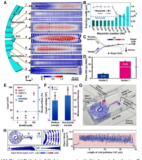 Figure 2 From Multiplex Profiling Of Biomarker And Drug Uptake In
