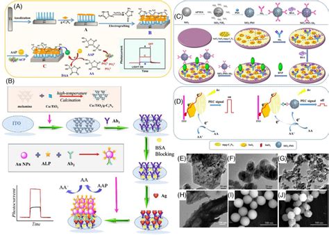 A Schematic Illustration Of The Fabrication Process Of The Developed Download Scientific
