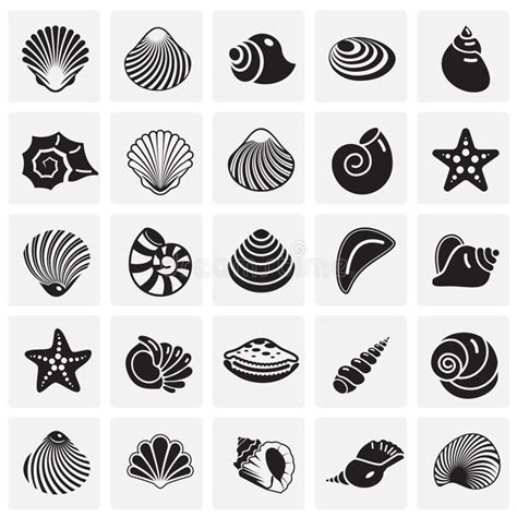 Abstract Shell Symbol Set Stock Vector Illustration Of Beauty 33103838