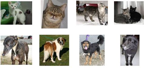 Machinelearning Deeplearning Tensorflow Keras Imageclassification