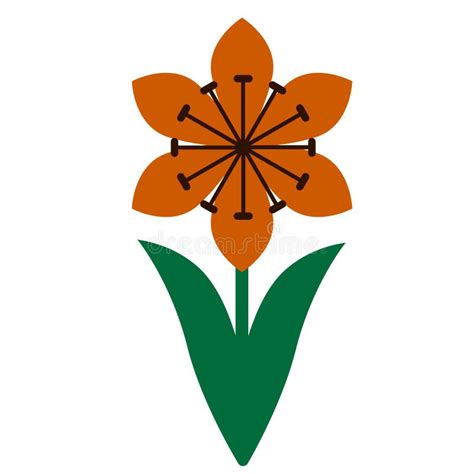 Lily Flat Illustration On White Stock Vector Illustration Of Spring