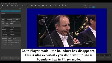 possible bug spr or crop boundary box visible in player mode bug