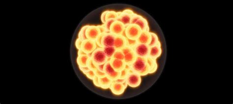 Lununseptium Superprof