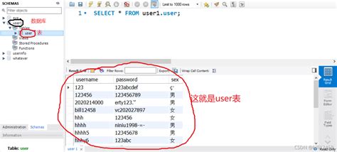 合工大路强java实验四思考题java Webjdbc1 建立注册页面registjsp表单中包括用户名、密码、年龄等信息 Csdn博客