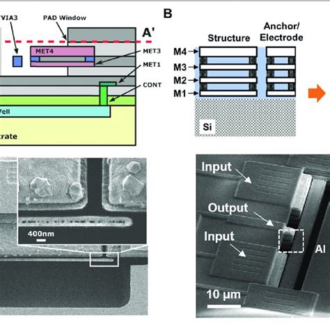 Cmos Mems Relays And Resoswitches A Sem And Schematic Of Cmos Mems