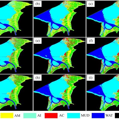 mangrove species classification using svm a c random forest d f