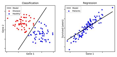 Supervised Problem Of Classification With Boundary Line Between Download Scientific Diagram