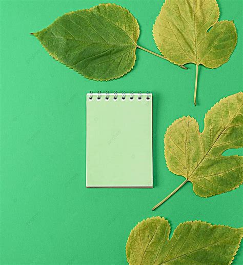 Cuaderno Sobre Un Fondo Verde Pad Textura Otoño Foto E Imagen Para