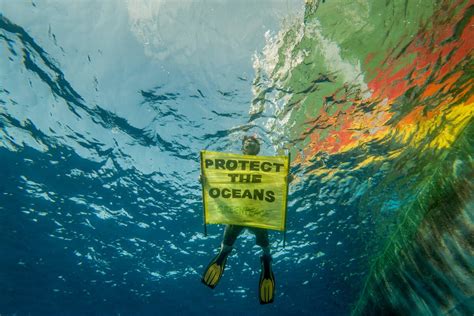 General Frequently Asked Questions Greenpeace Malaysia